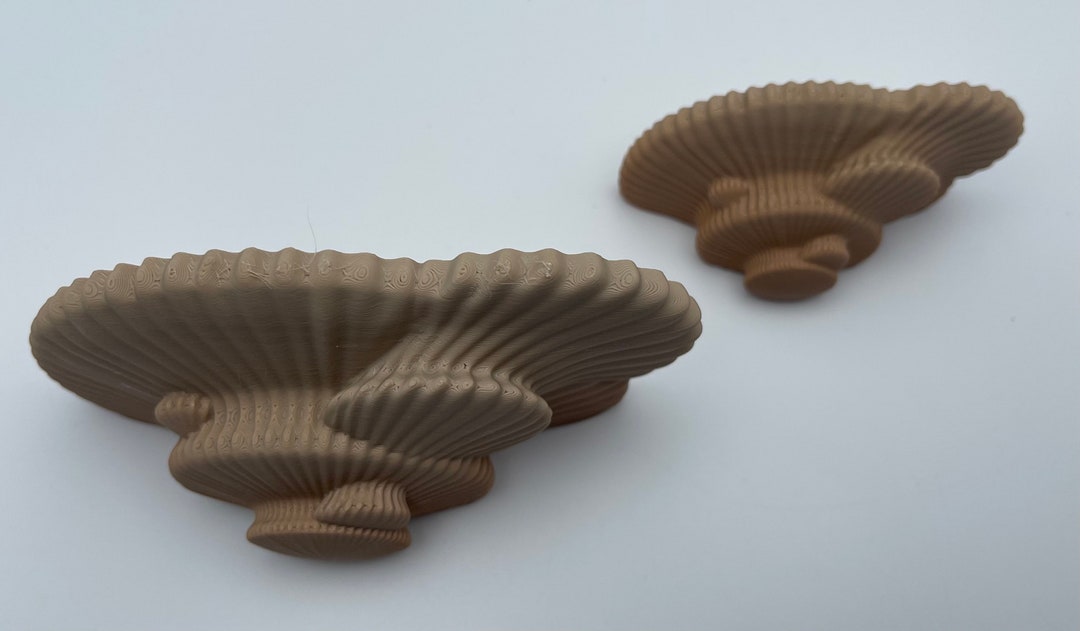 Tinder Fungus Wall Shelf sml Norm Lrg Organic Wall Decor - Etsy