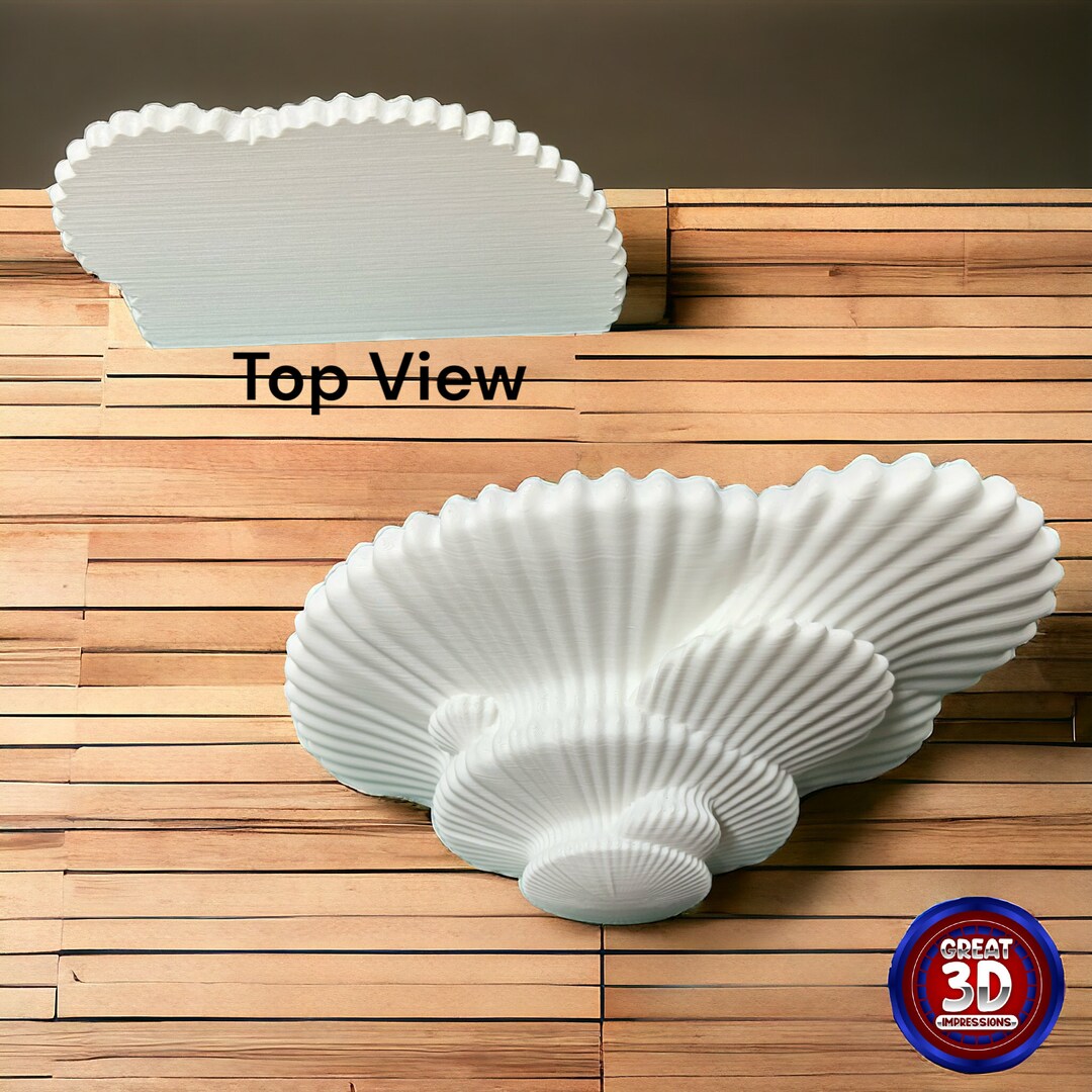 Tinder Fungus Wall Shelf sml, Norm, Lrg, Organic Wall Decor, Nature ...