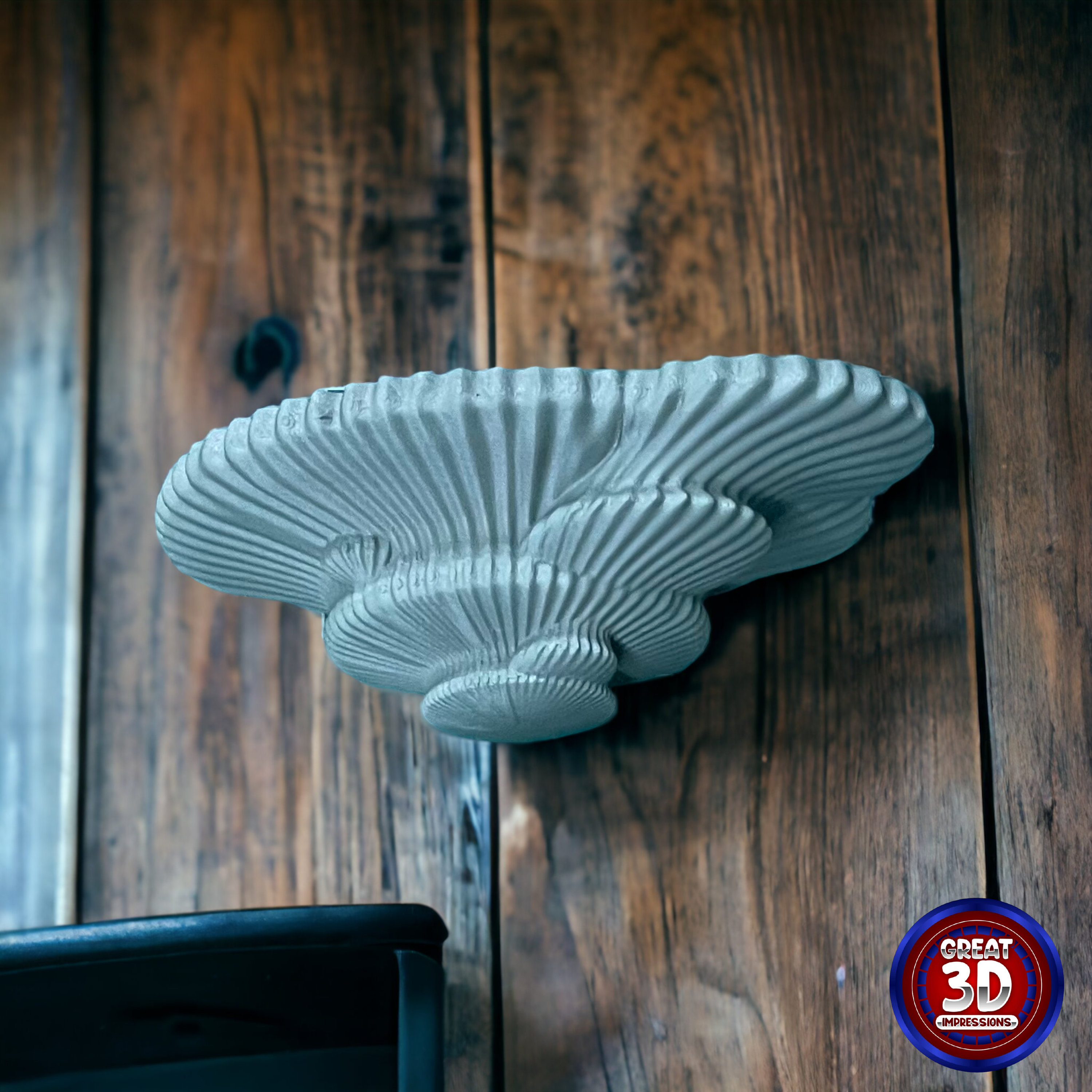 Tinder Fungus Wall Shelf sml Norm Lrg Organic Wall Decor - Etsy