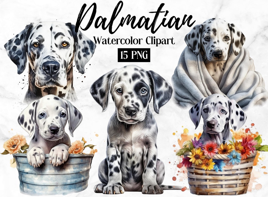 Dalmatian Clipart | Dog PNG | Cute Dog Clipart | Nursery Clipart | Cute ...