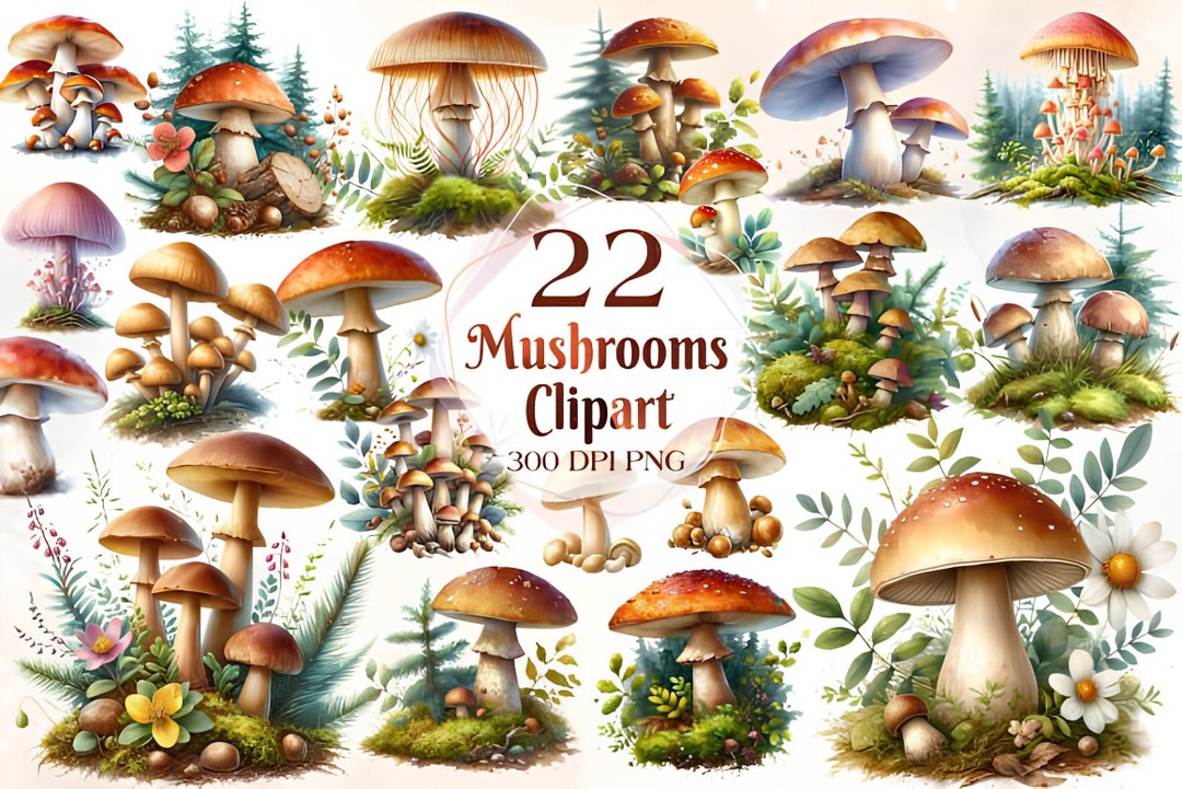 Watercolor Mushrooms Clipart - Cute Forest Nature Toadstool Clip Art ...