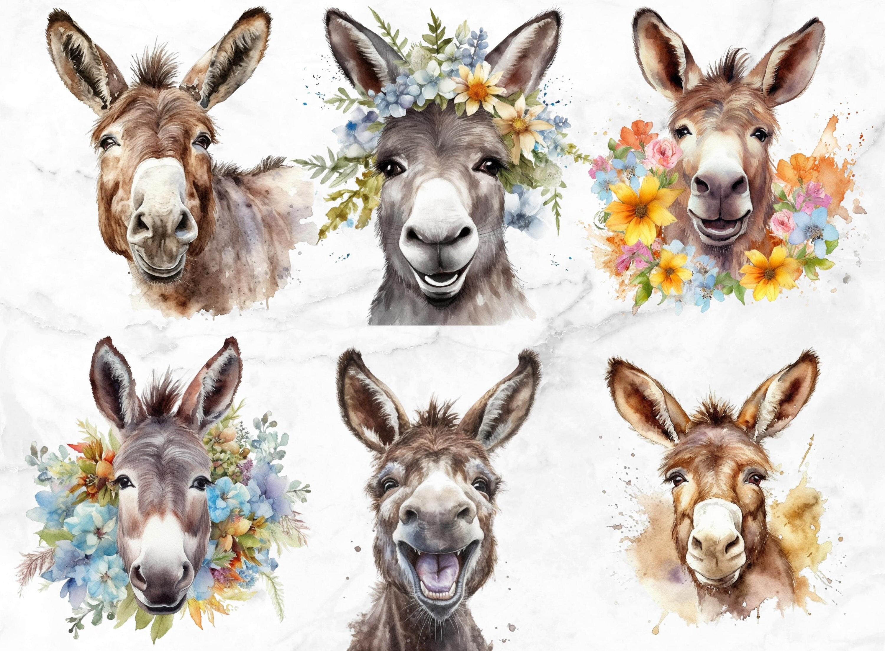Happy Donkeys Clipart - 21 High Quality Pngs - Digital Planner, Junk ...