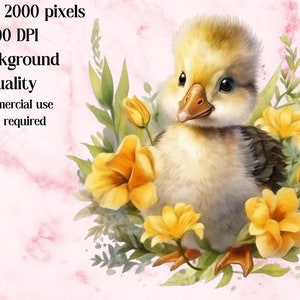 Fluffy Ducklings PNG | Chicks Clipart | Baby Ducks PNG | Duck ...