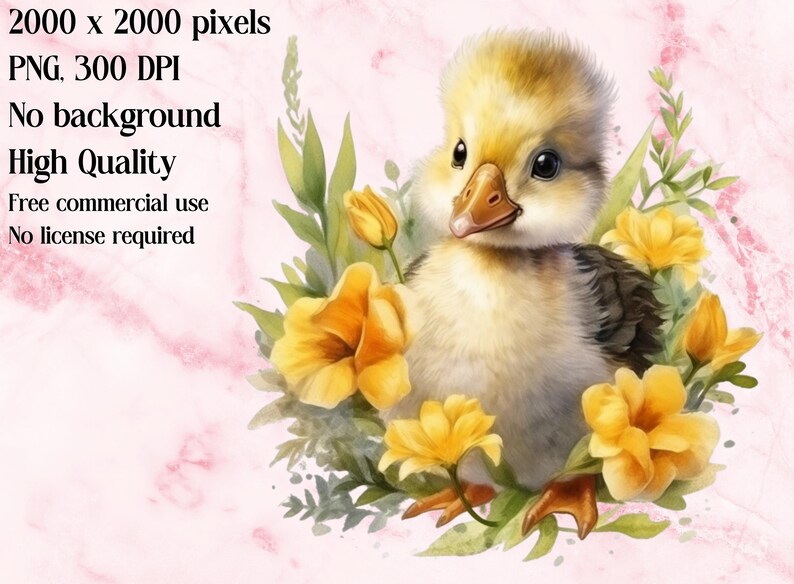 Fluffy Ducklings PNG | Chicks Clipart | Baby Ducks PNG | Duck ...