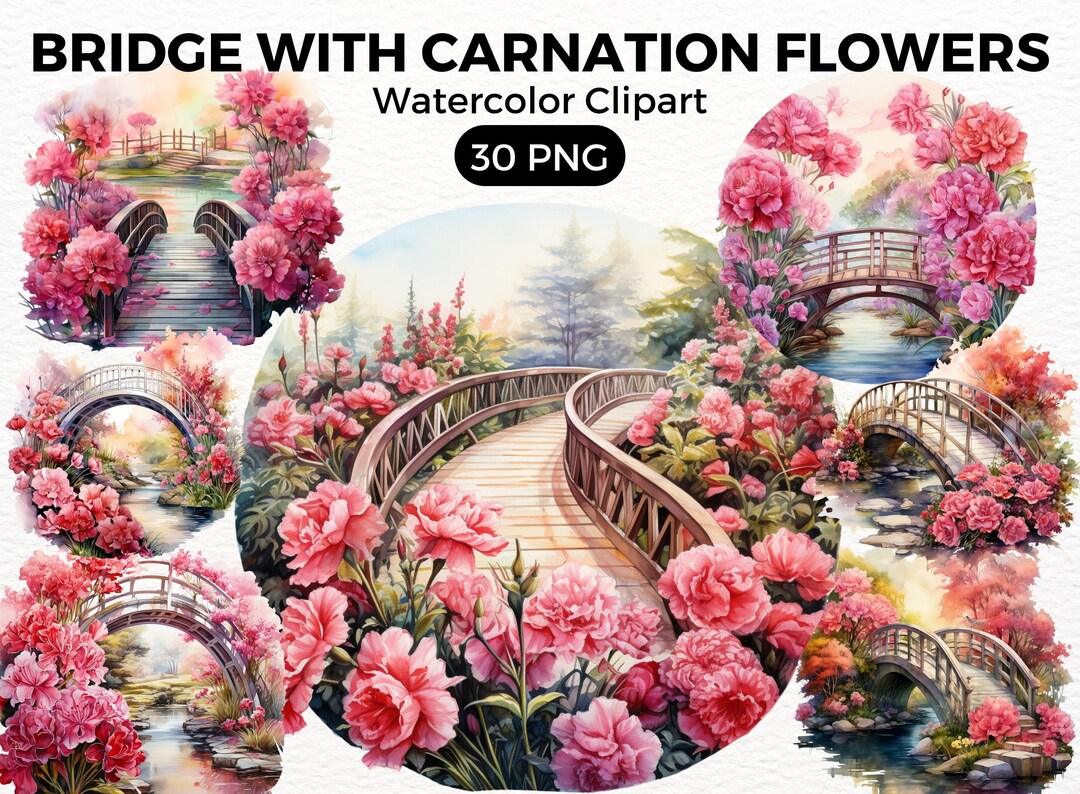 Garden Bridge Carnation Flowers Clipart, Garden Digital Watercolor Png ...