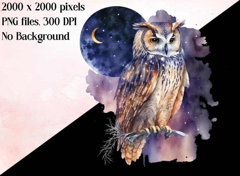Celestial Owl Clipart, Owl Png, Magic Clip Art, Mystical Clipart ...