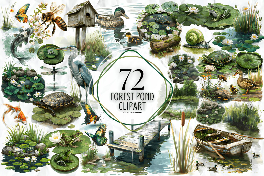 Pond Clipart. Lake Clipart. Garden Clipart, PNG. Summer Rest, Lotus ...