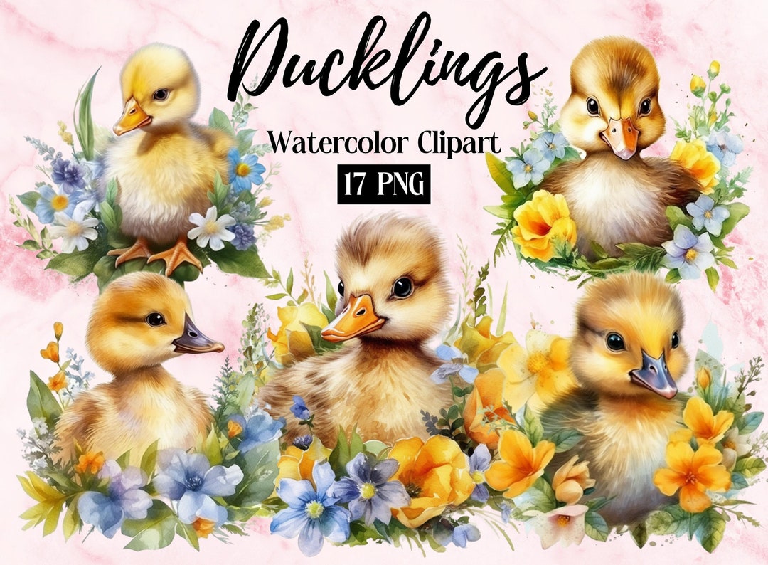 Fluffy Ducklings PNG | Chicks Clipart | Baby Ducks PNG | Duck ...