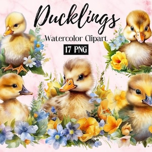 Fluffy Ducklings PNG | Chicks Clipart | Baby Ducks PNG | Duck ...