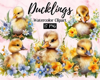 Fluffy Ducklings PNG Chicks Clipart Baby Ducks PNG Duck Watercolor Baby ...