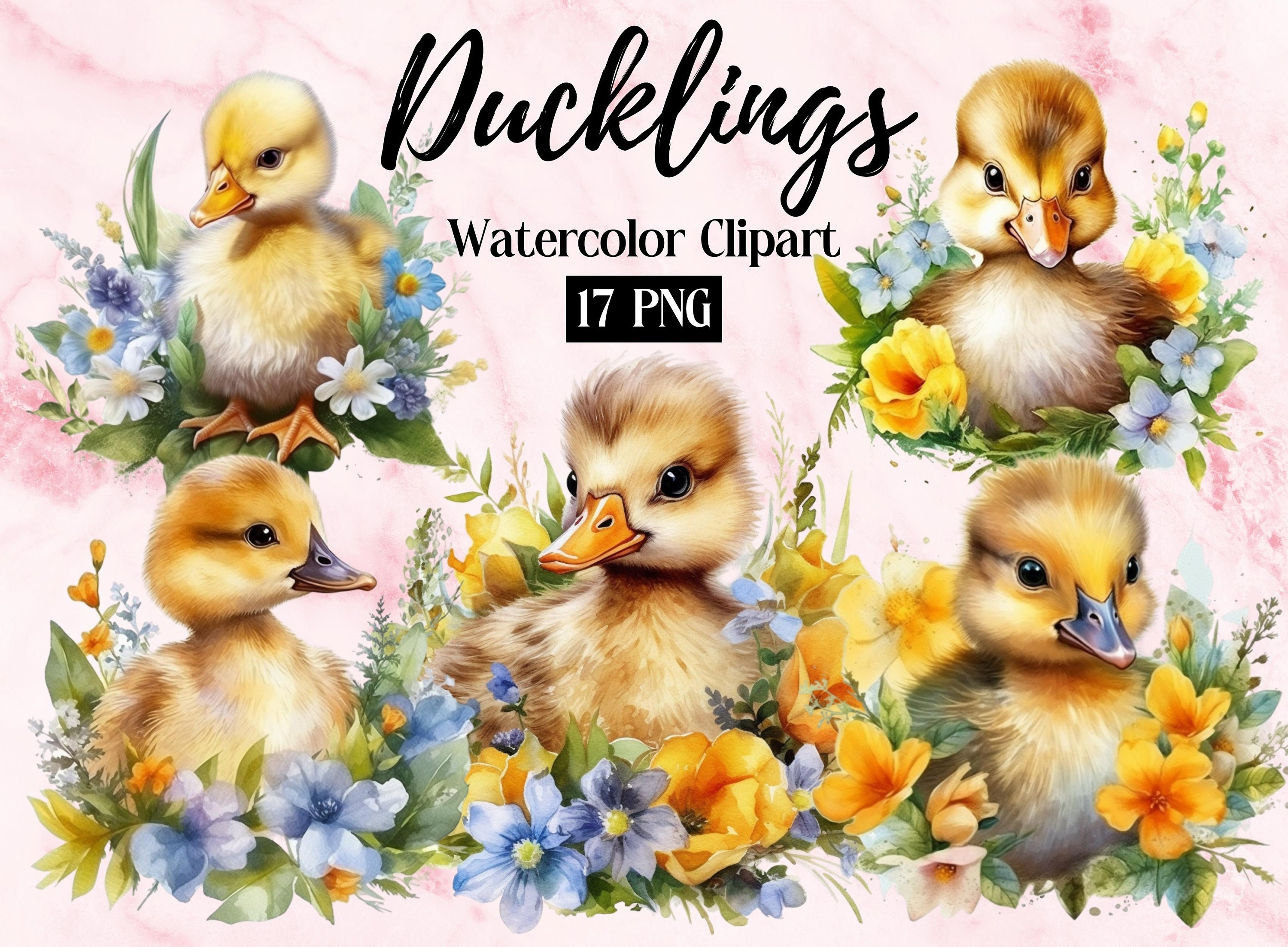 Baby Ducklings Clipart