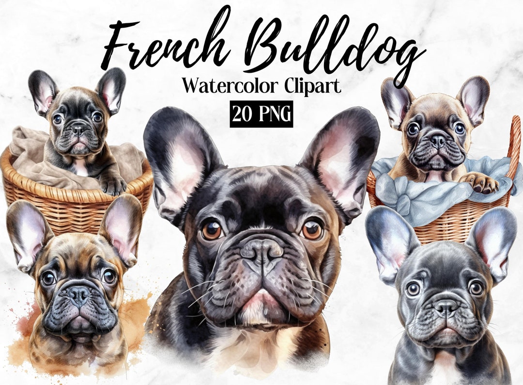 French Bulldog Clipart | Dog PNG | Watercolor Dog Clipart | Dog ...