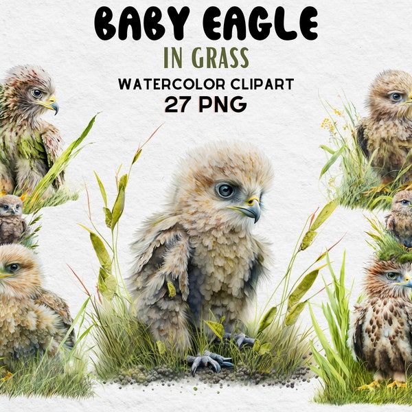 Baby Eagle Clipart - Etsy