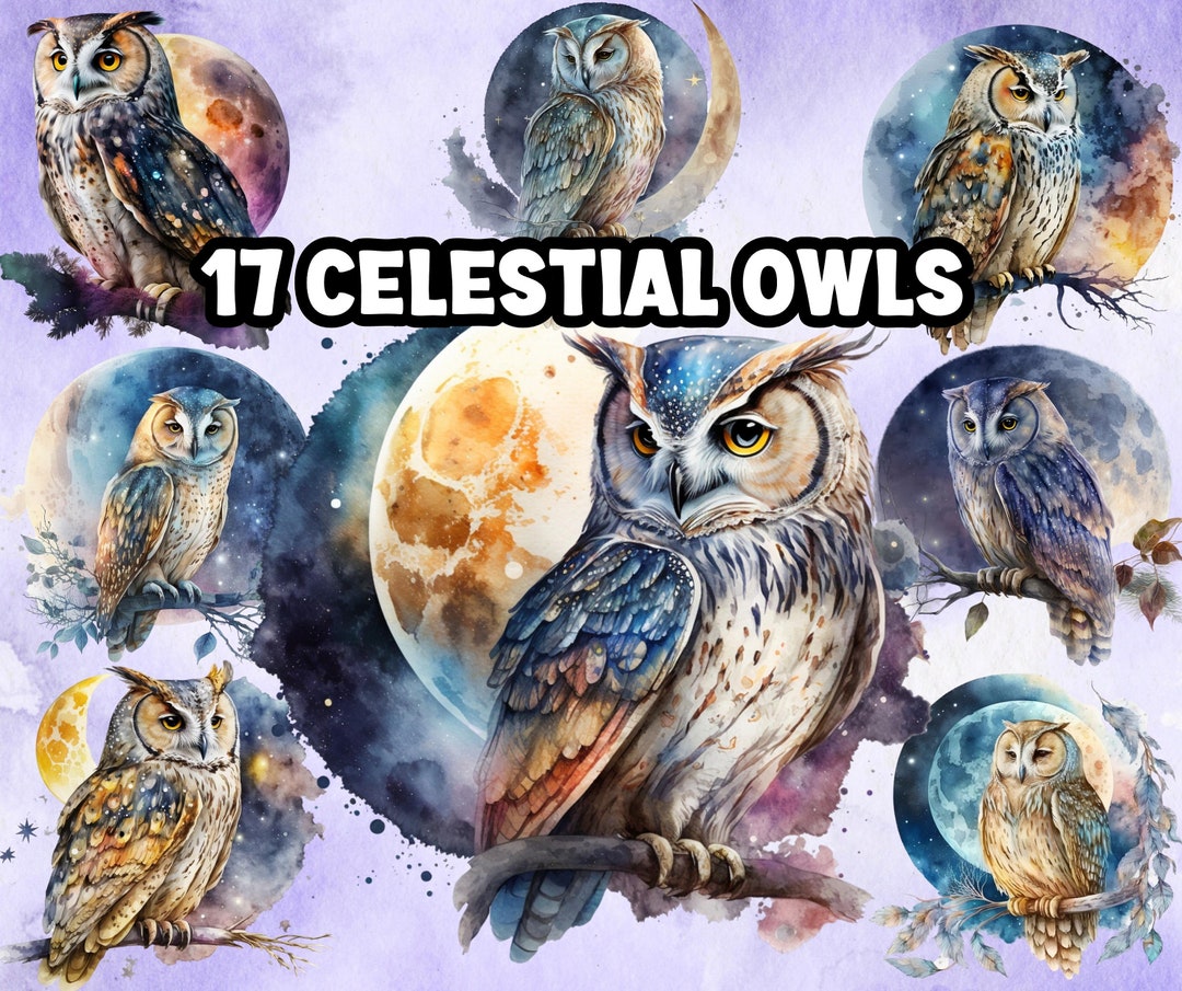 Celestial Owl Clipart Owl Png Magic Clip Art Mystical - Etsy