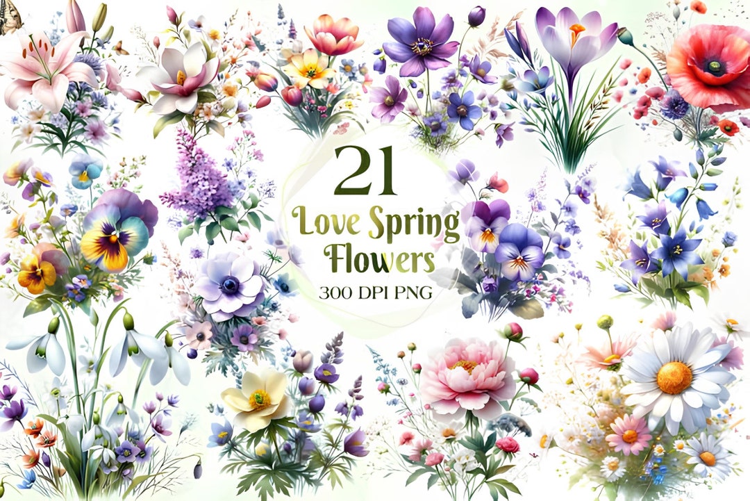 Watercolor Spring Flower Clipart Wildflower Spring Flowers PNG ...