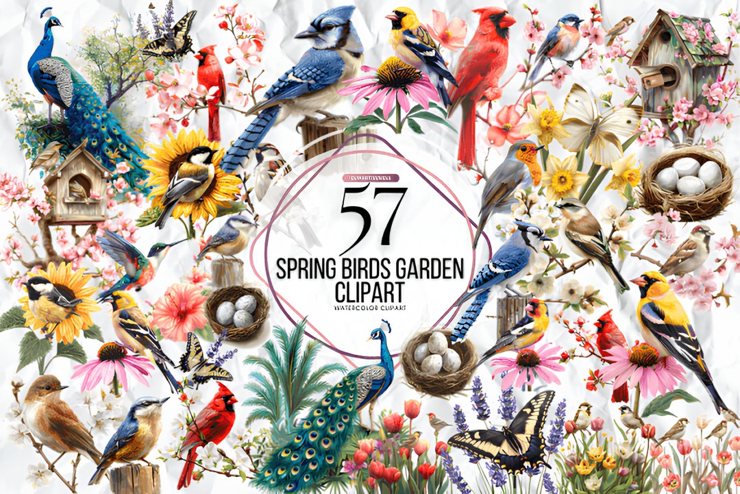57 Watercolor Birds Spring Garden Clipart, Spring Birds Clipart, Birds ...