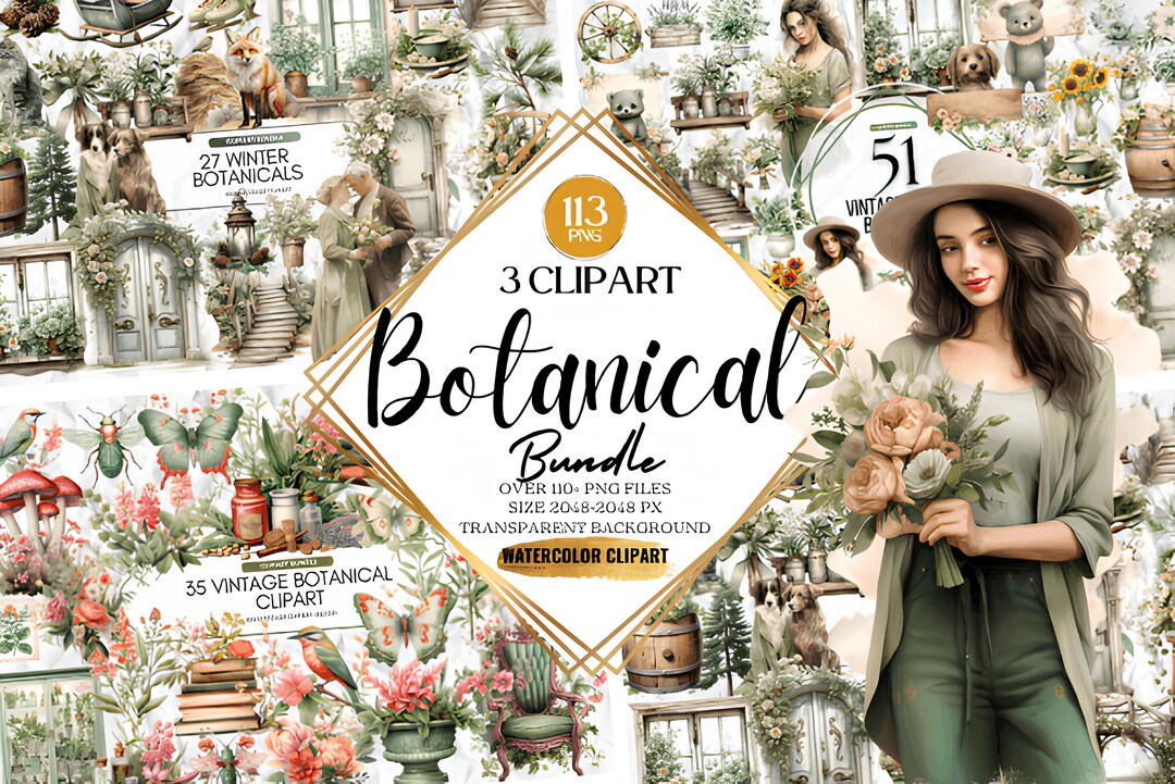 Megabundle 113 Floral Clipart, Botanical Clipart, Botanical ...