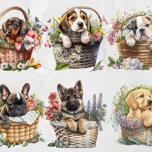Watercolor Puppies in Basket Clipart, Animal PNG, Cute Floral Dog ...