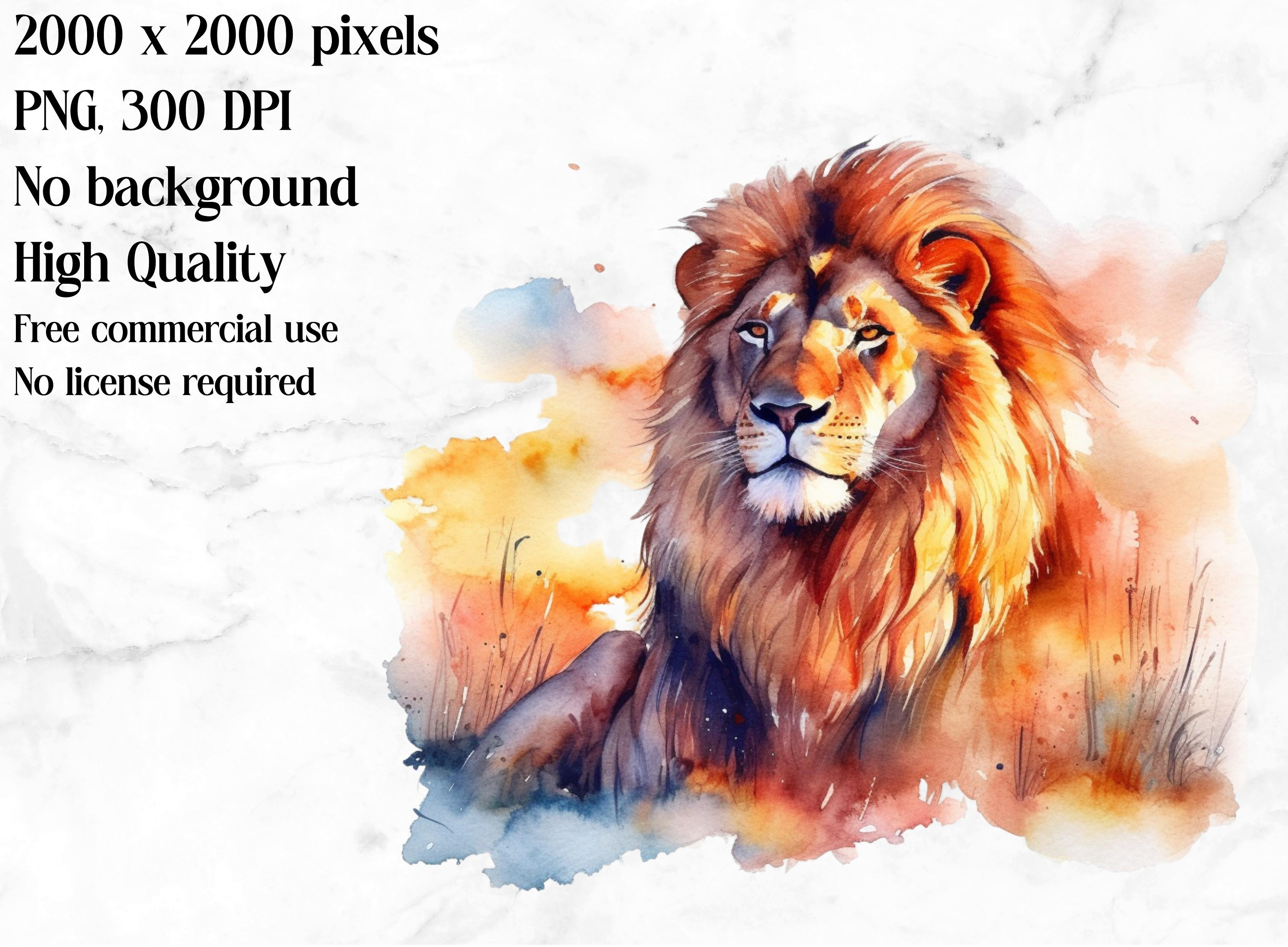 Lion Clipart Watercolor Lion PNG Safari Animals Clipart - Etsy