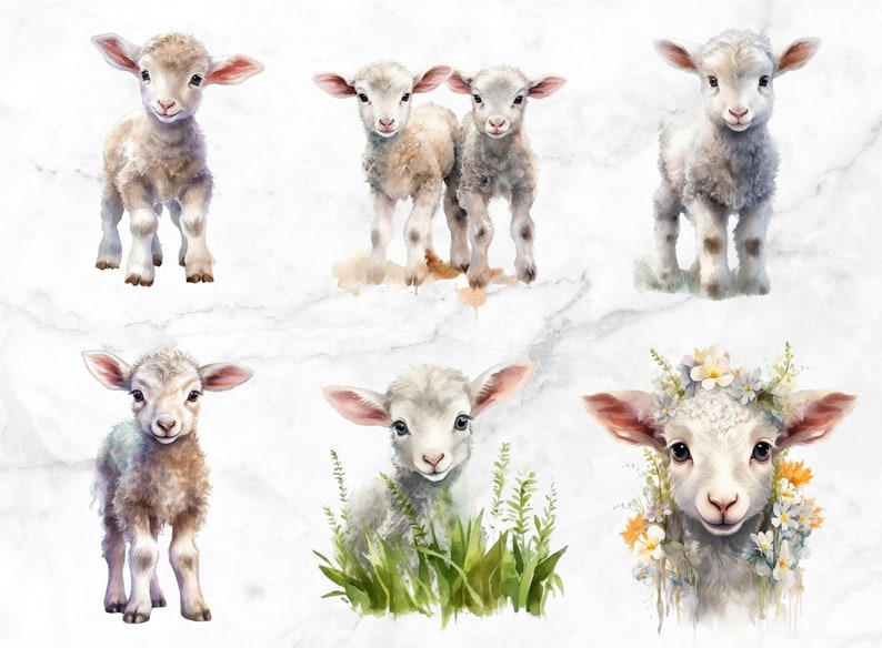 Baby Lamb Clipart | Lamb PNG | Baby Animals | Farm Animals PNG | Baby ...