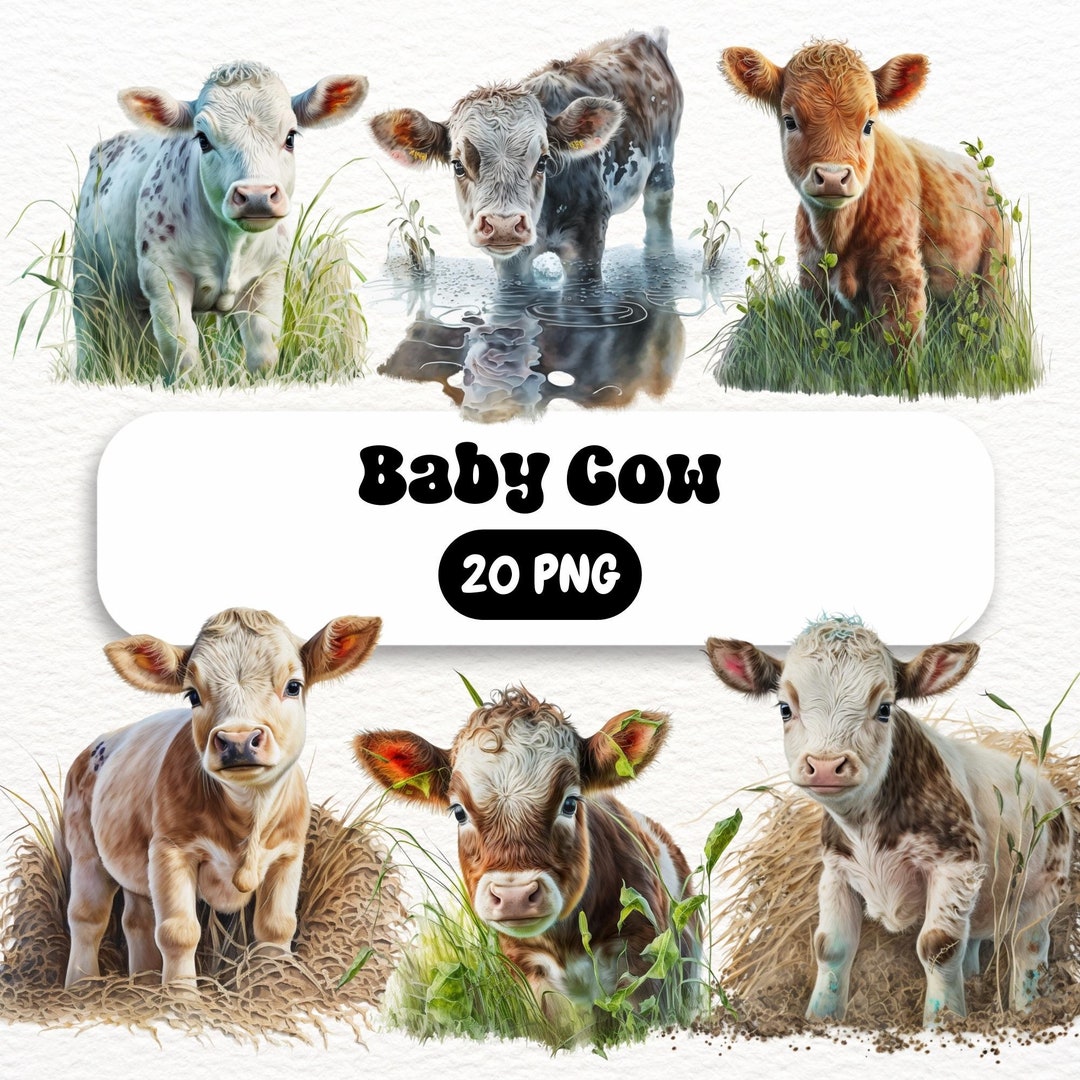 Baby Cow Clipart, Farm Animals PNG, Baby Cow PNG, Calf, Watercolor ...
