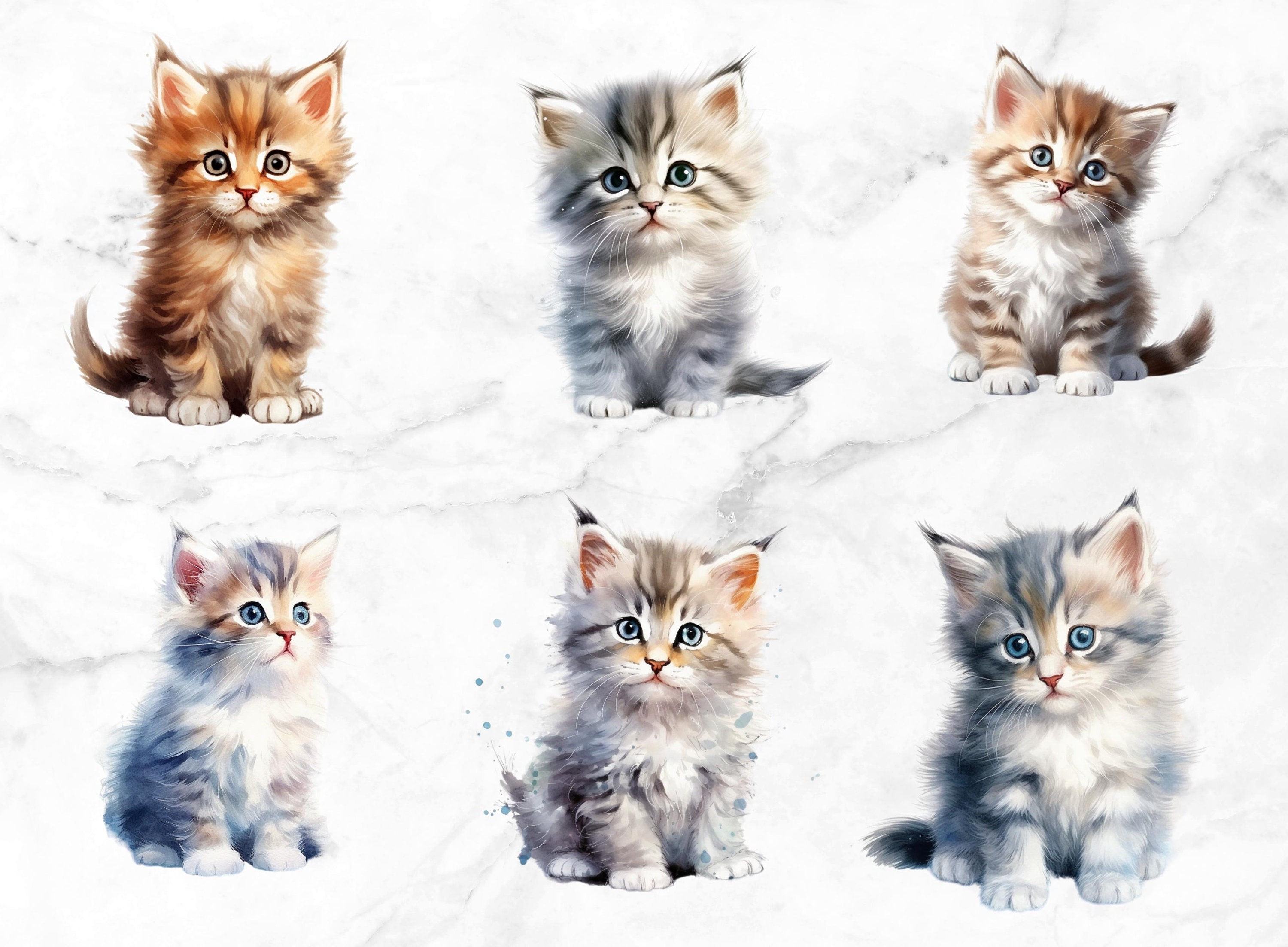 Kitten Clipart - 18 High Quality Pngs - Digital Download - Card Making ...