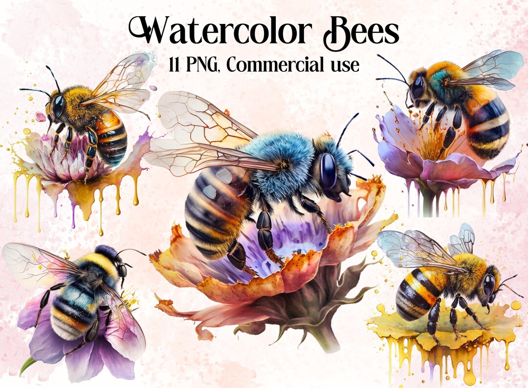 Watercolor Honeybee Clipart Bundle. Summer Clipart. Watercolor Flower ...