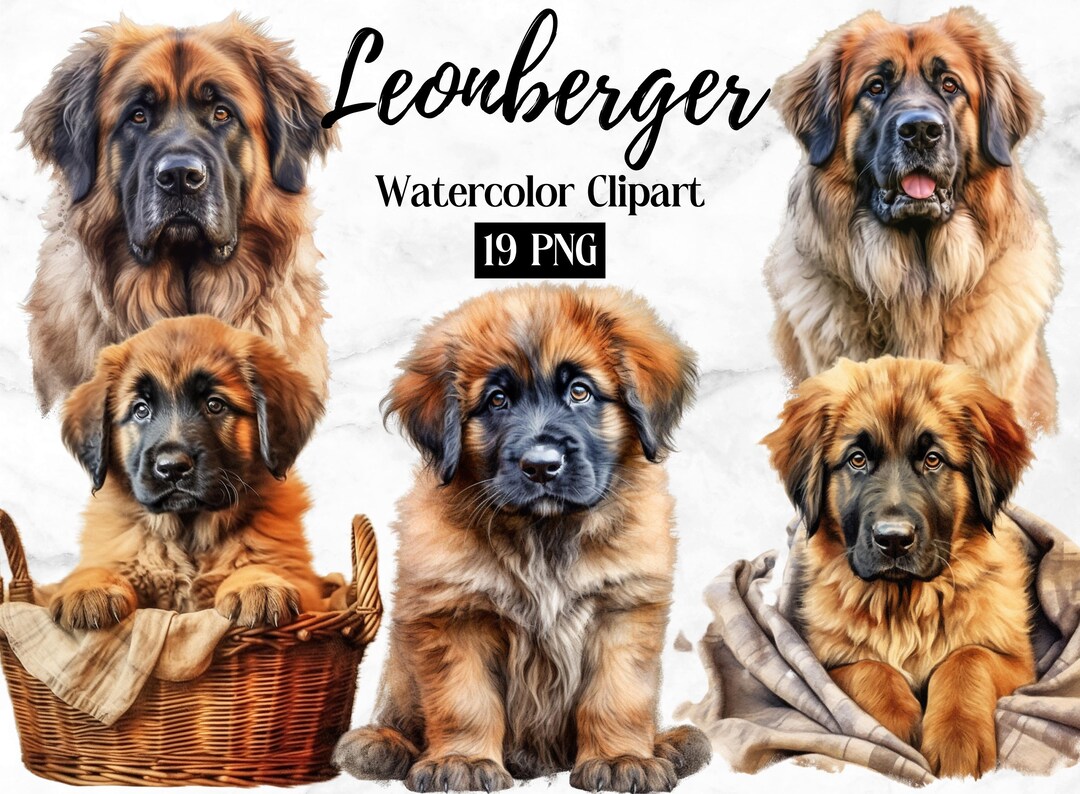 Leonberger Clipart | Dog PNG | Watercolor Dog Portrait | Cute Dog ...