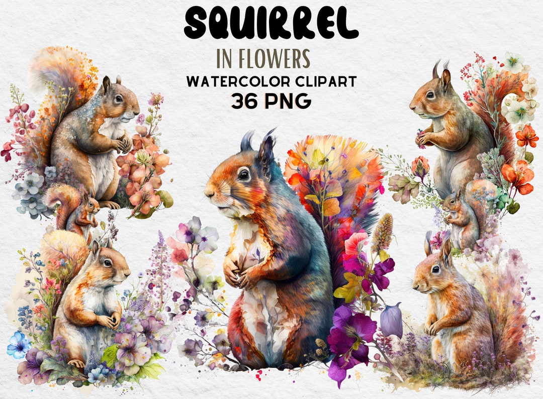 Squirrel in Flowers Watercolor Clipart, Birthday Party Decor Graphics ...