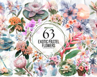 Tropical Flowers Watercolor Clipart,exotic Flower Hibiscus, Summer ...