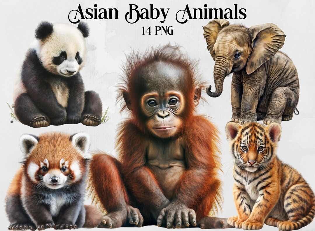 Baby Asian Animal Clipart Bundle - Watercolor Panda, Tiger, Orangutan ...