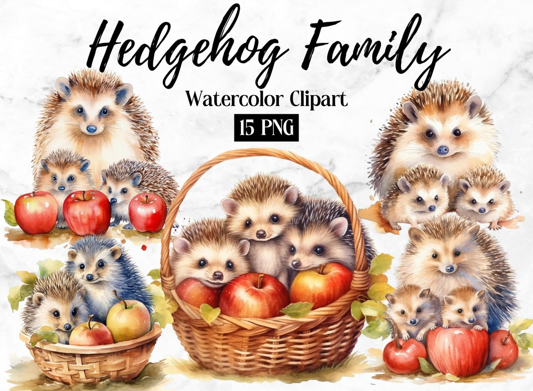 Cute Hedgehog Family Mom and Baby Clipart | Watercolor Hedgehog PNG | Nursery Wall Art | Animal ...