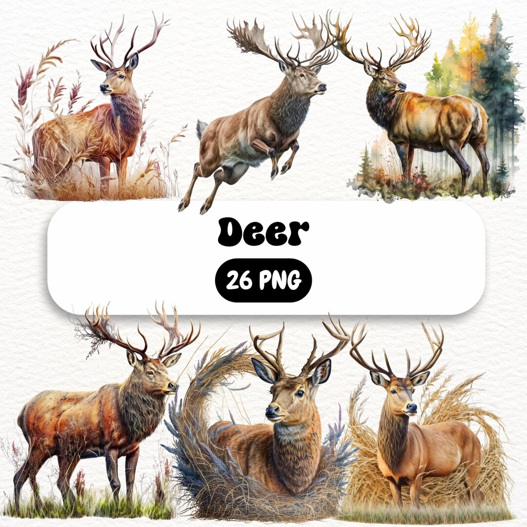 Watercolor Deer Clipart, Nursery Decor, Deer PNG, Watercolor Animals ...