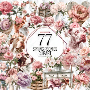 Watercolor Pink Spring Peonies Clipart - Peonies in PNG Format Instant ...