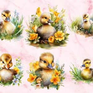 Fluffy Ducklings PNG | Chicks Clipart | Baby Ducks PNG | Duck ...