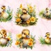 Fluffy Ducklings PNG | Chicks Clipart | Baby Ducks PNG | Duck ...