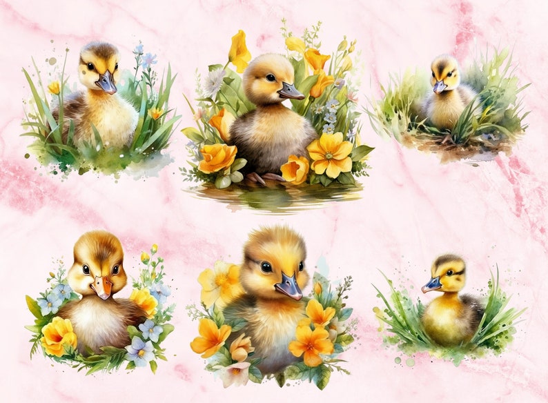 Fluffy Ducklings PNG | Chicks Clipart | Baby Ducks PNG | Duck ...