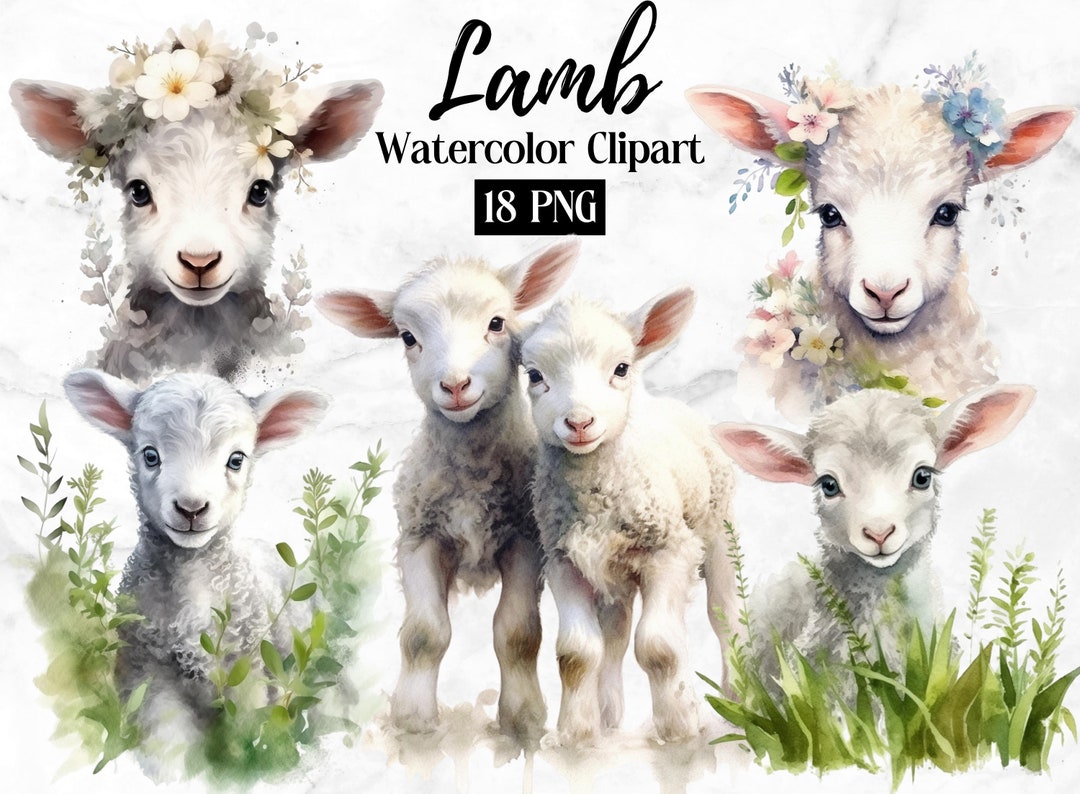 Baby Lamb Clipart | Lamb PNG | Baby Animals | Farm Animals PNG | Baby ...
