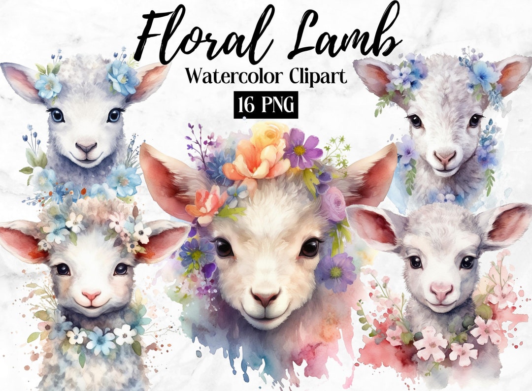Floral Baby Lamb Clipart | Floral Spring Lamb PNG | Baby Animals ...