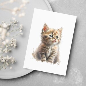 Watercolor Baby Cats Clipart, Watercolour Kitten, Transparent Flowers ...