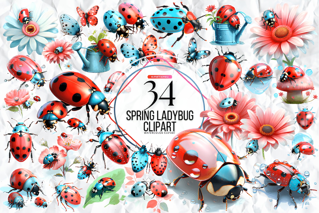 Watercolor Spring Ladybug Clipart, Cute Ladybug Clipart, Spring Clipart ...