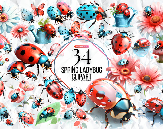 20 JPG Whimsical Ladybug Clipart – Cute Quirky Spring Ladybug With ...