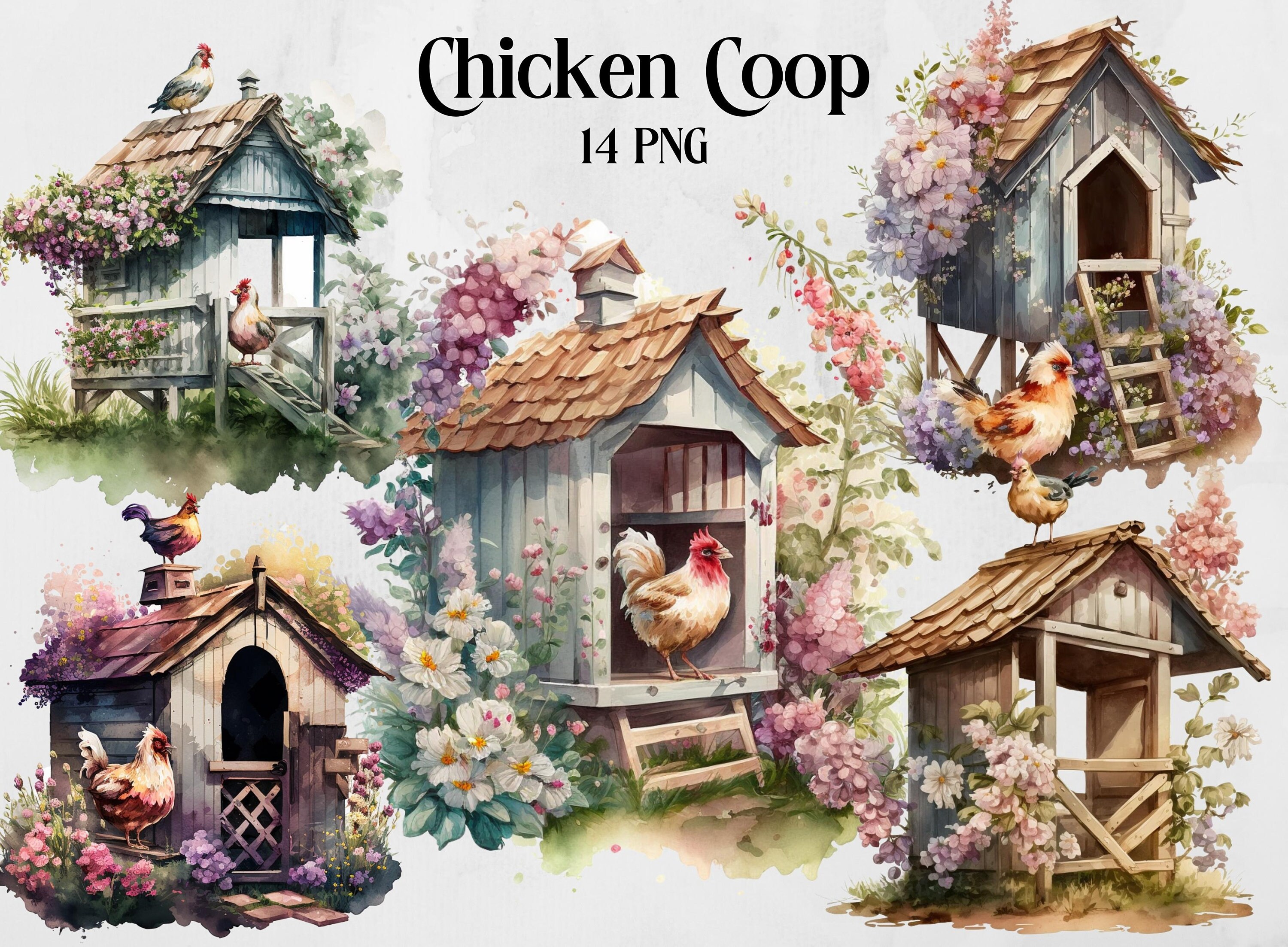 Watercolor Chicken Clipart Chicken PNG Chicken and Chicks - Etsy