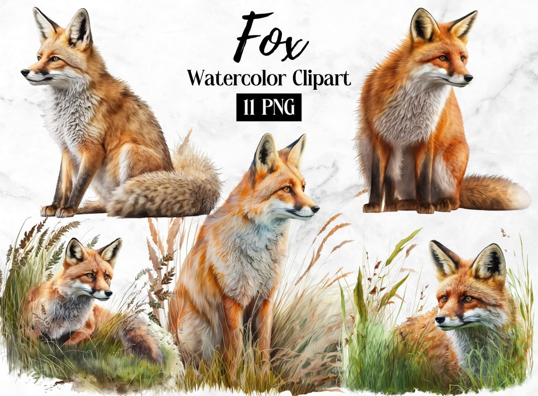 Watercolor Fox Clipart | Cute Fox PNG | Woodland Animals Clipart ...