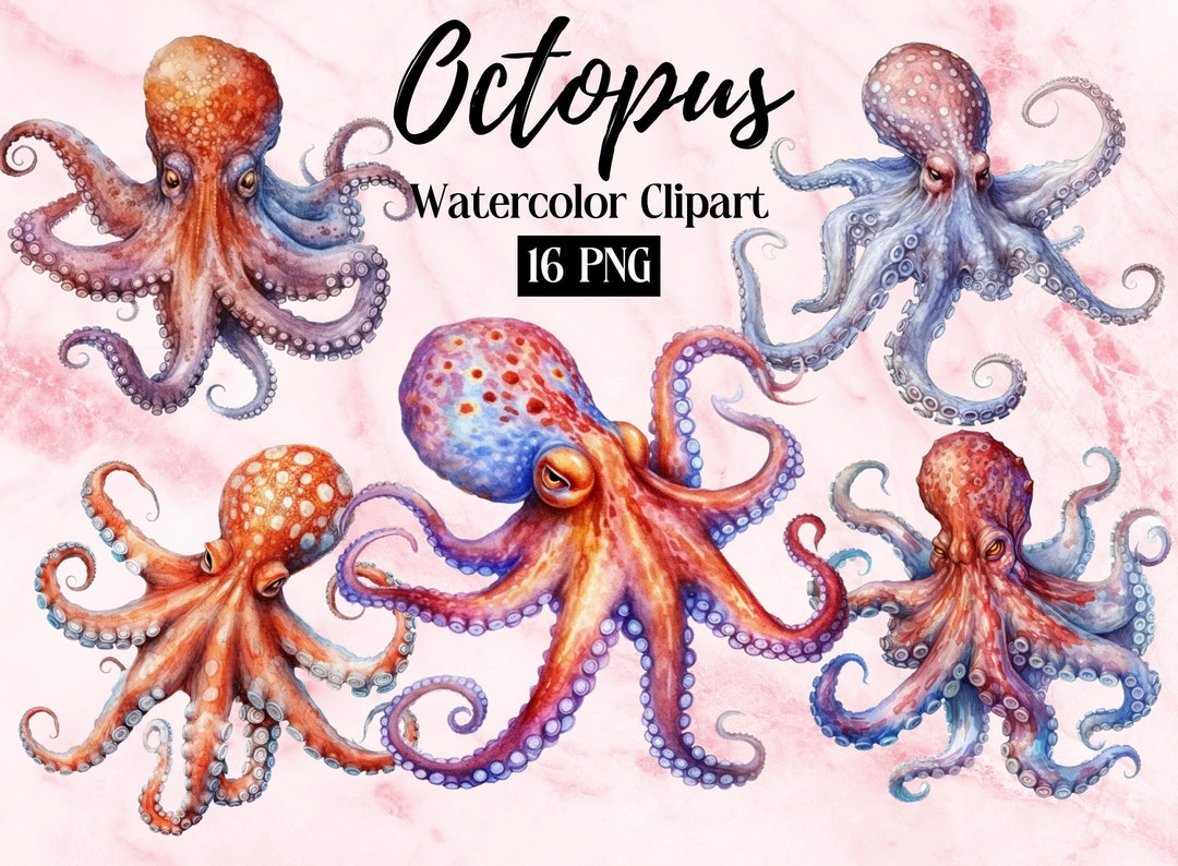 Octopus Watercolor Clipart | Sea Life Octopus JPG | Kawaii Clipart ...