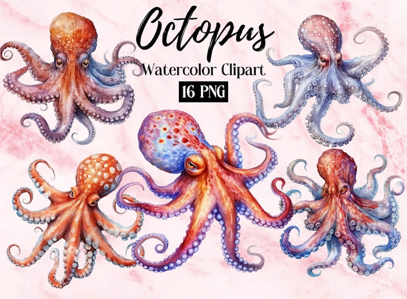 Octopus Watercolor Clipart Sea Life Octopus JPG Kawaii - Etsy