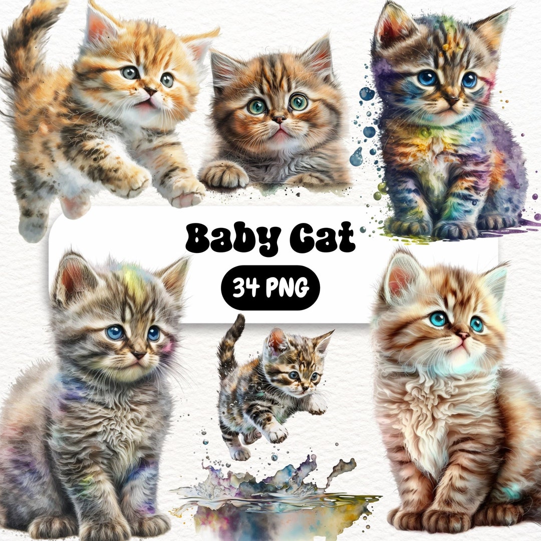 Watercolor Baby Cats Clipart, Watercolour Kitten, Transparent Flowers ...