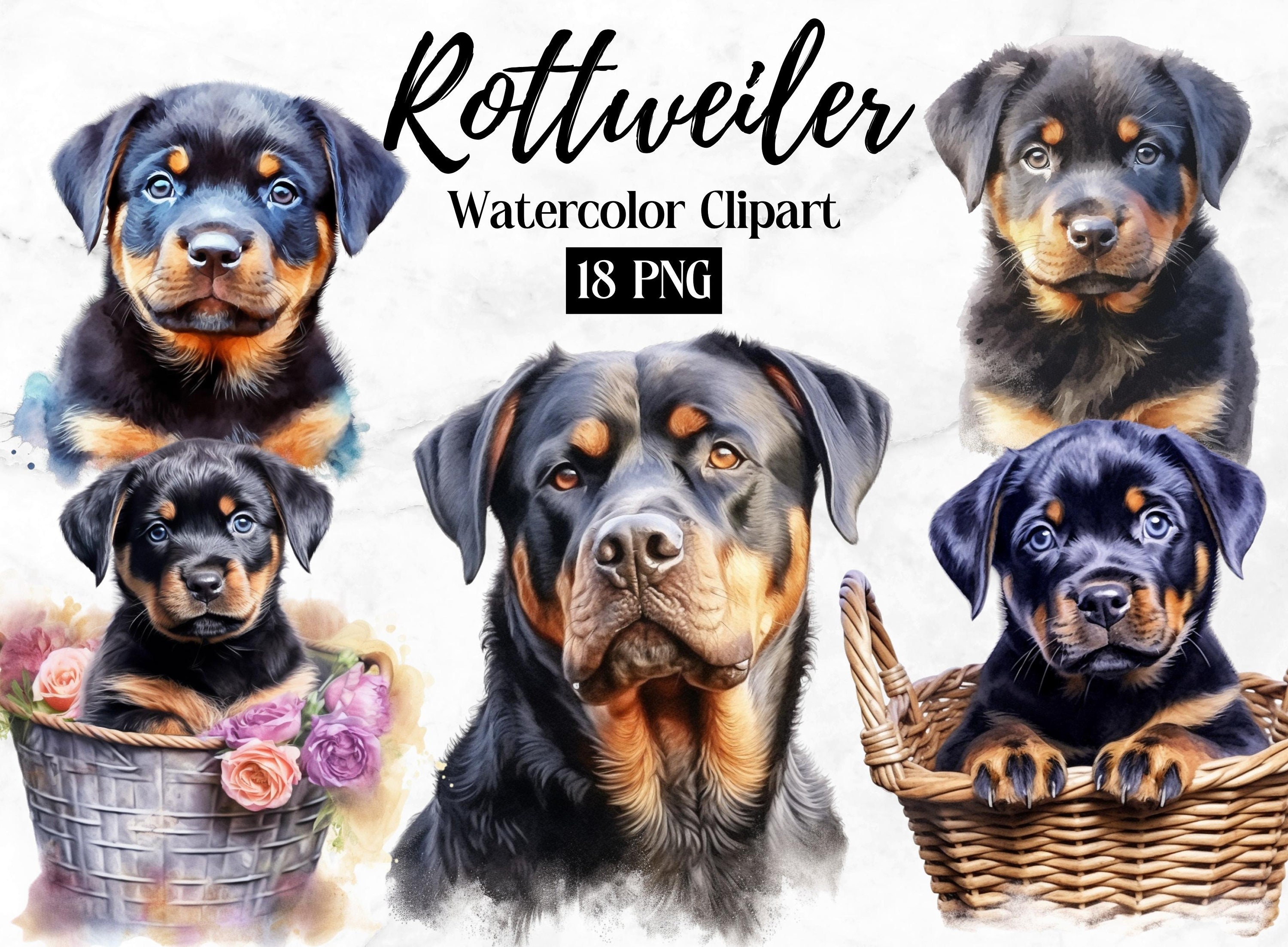 Rottweiler Clipart Dog PNG Rottweiler Puppy Clipart Cute - Etsy
