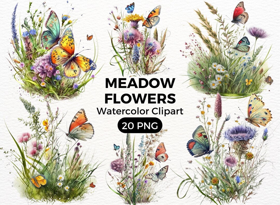 Meadow Flowers Watercolor Clipart Bundle | Watercolor Spring Flowers ...