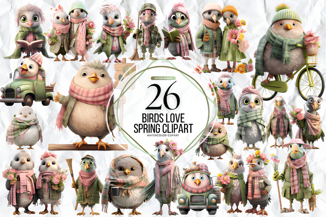 Funny Birds Love Spring Clipart Bundle | Whimsical Bird Graphics | Junk ...
